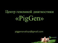Центр геномной диагностики PigGen презентация, доклад