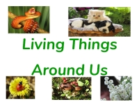 Living things around us презентация, доклад