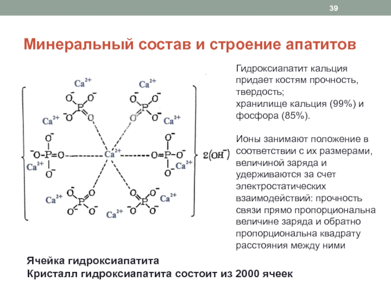 Лекция 22. Биохимия соединительной ткани презентация, доклад